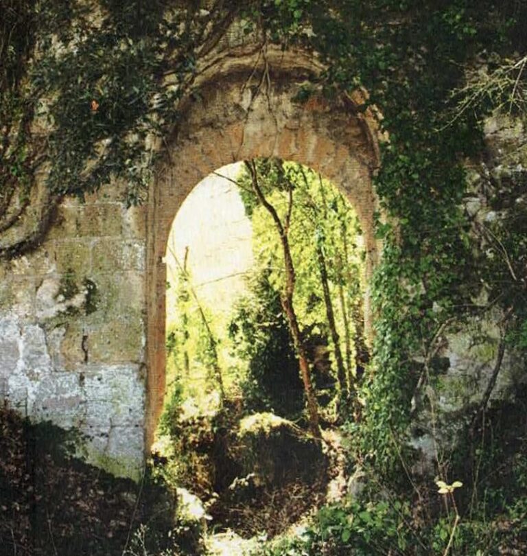 Faleria: Itinerario nella Storia e nell'Arte - WCi